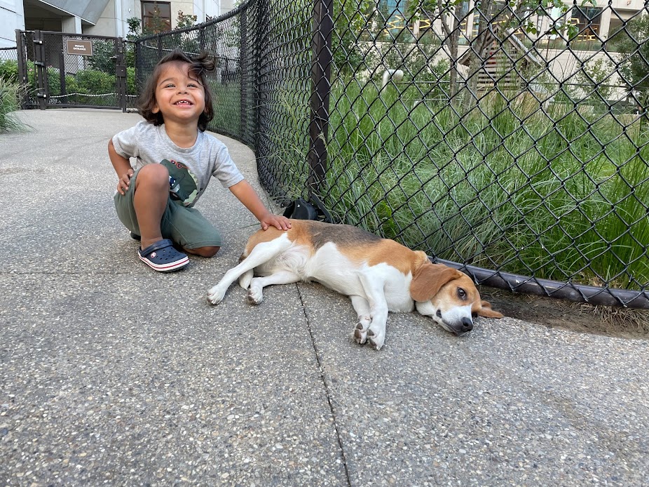 Scenes from the Weekend: 8/1/22 : Eat Teach Blog